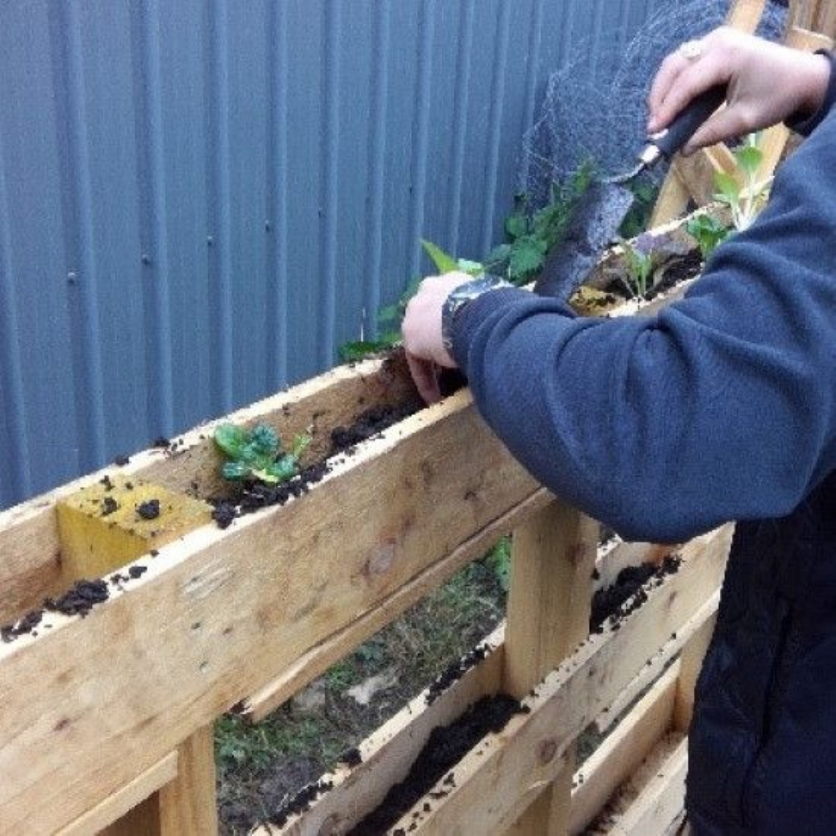 Trinity Solutions Academy - Enrichment | LLDD