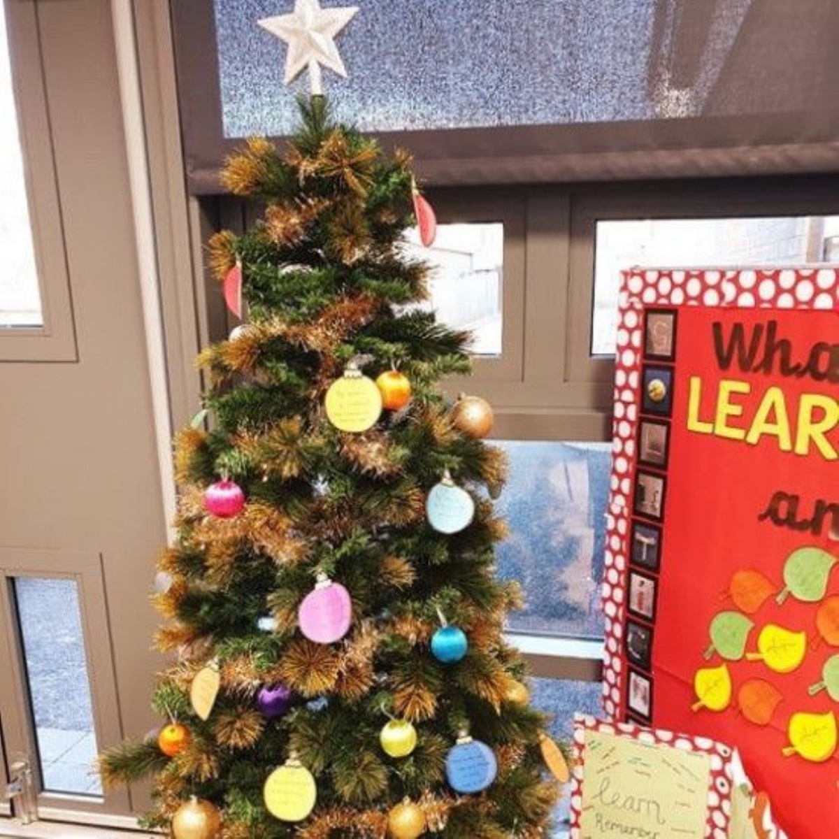 Trinity Solutions Academy - Spreading Kindness in Solutions