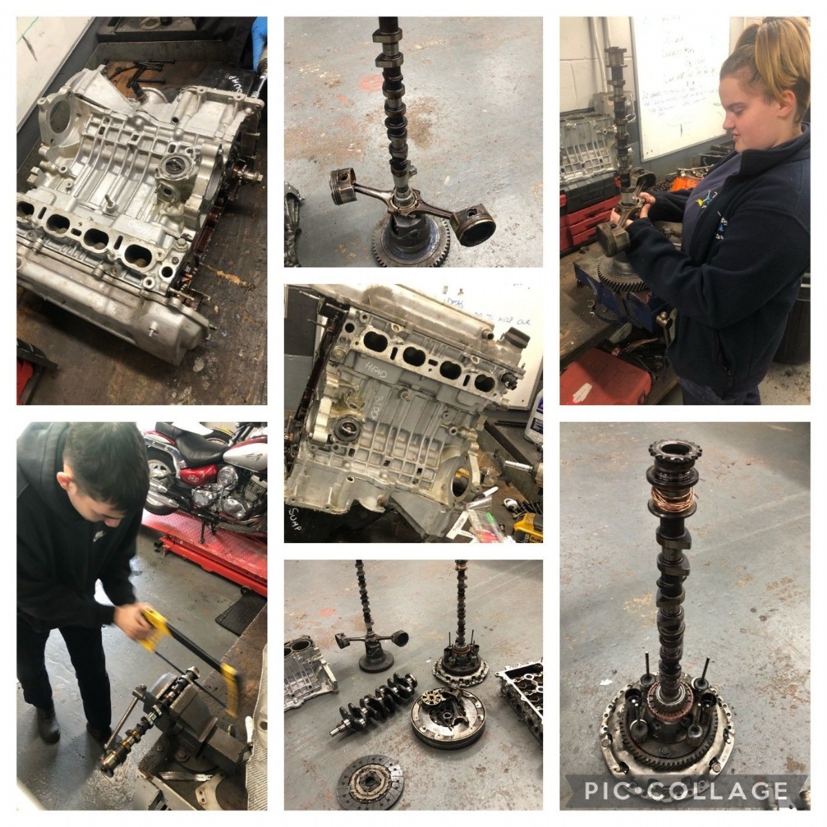 Trinity Solutions Academy - This week in Motor Vehicles 08.06.22