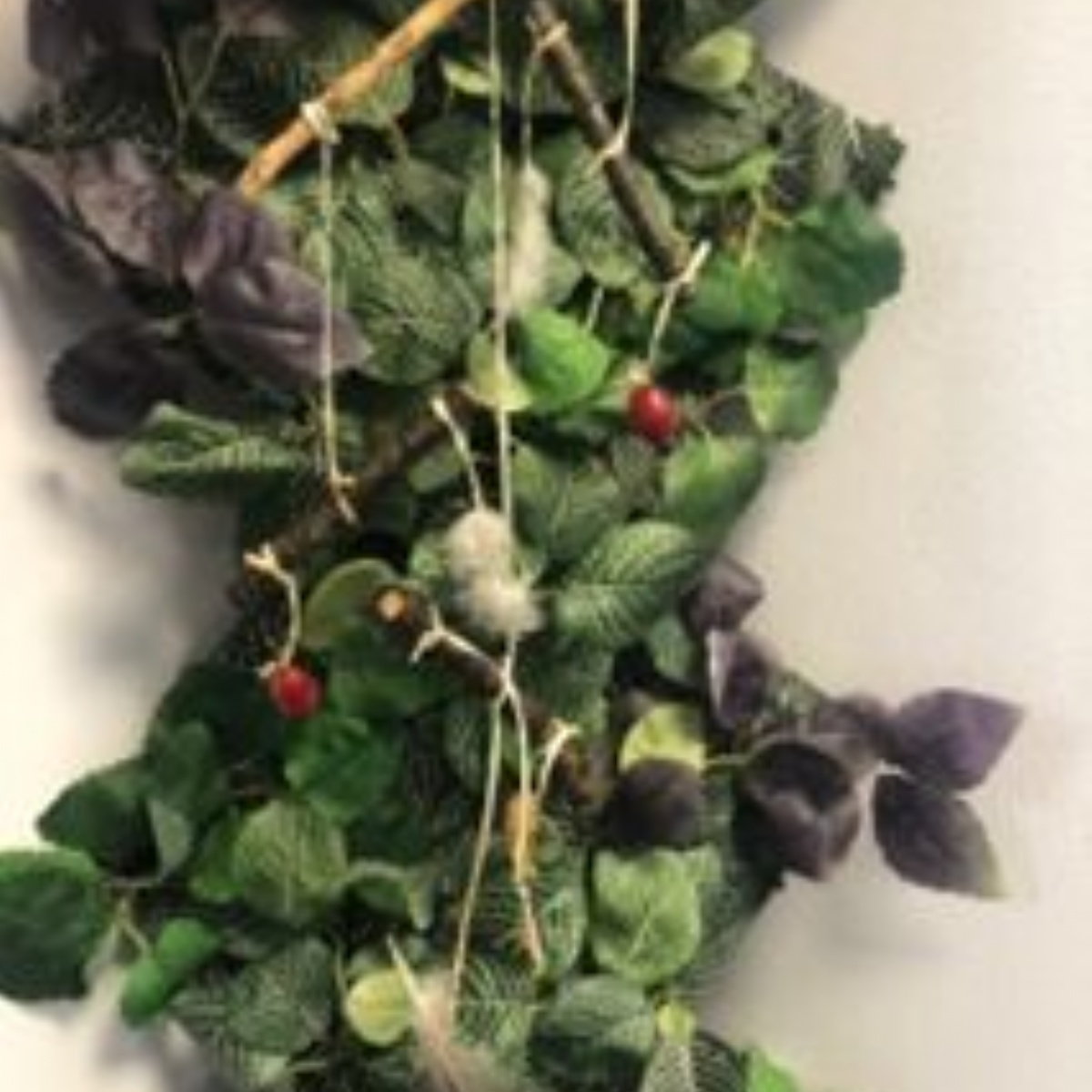 Trinity Solutions Academy - A touch of Autumn