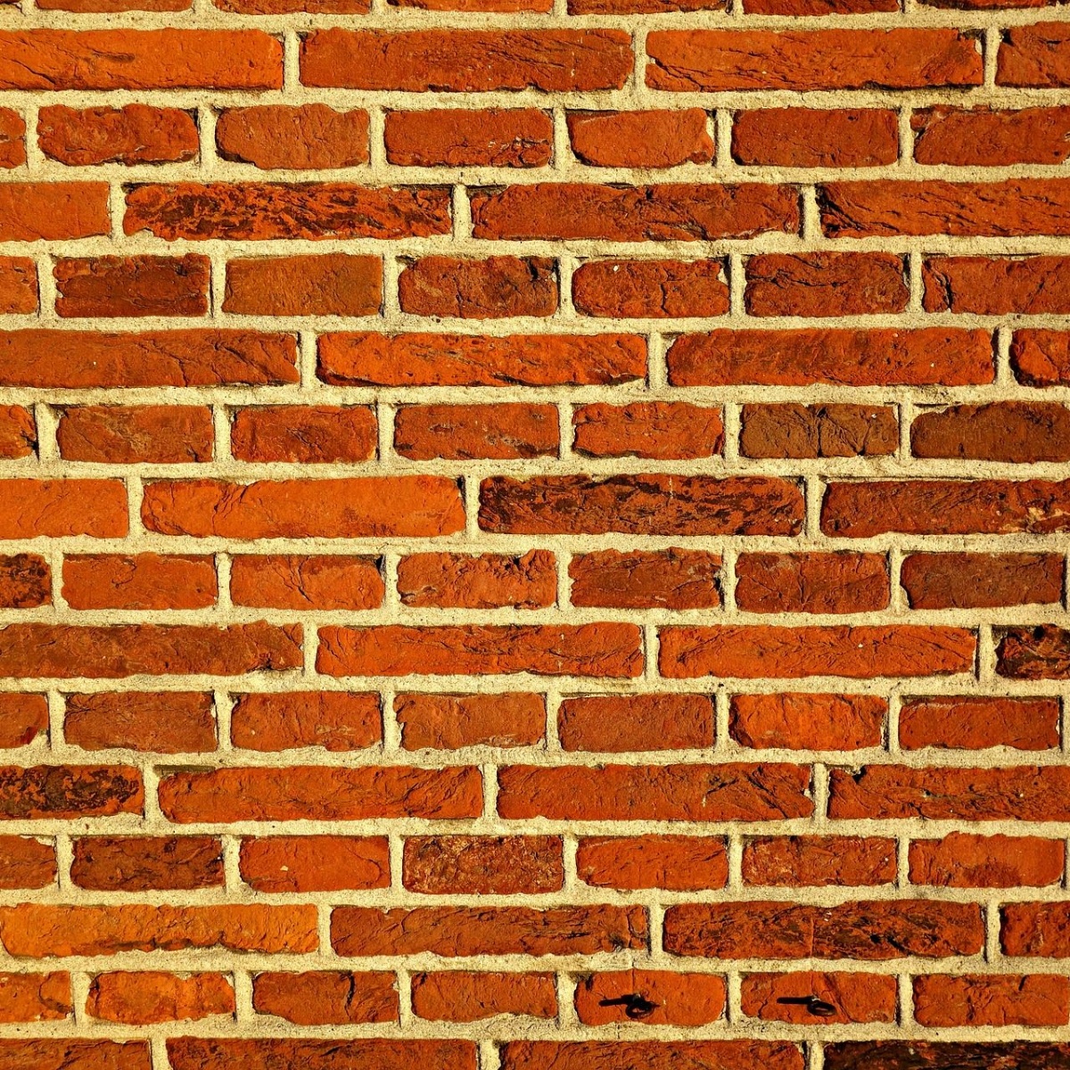 Trinity Solutions Academy - Brick Assessments