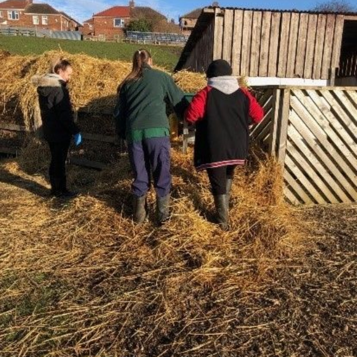 Trinity Solutions Academy - Teamwork on the Farm!