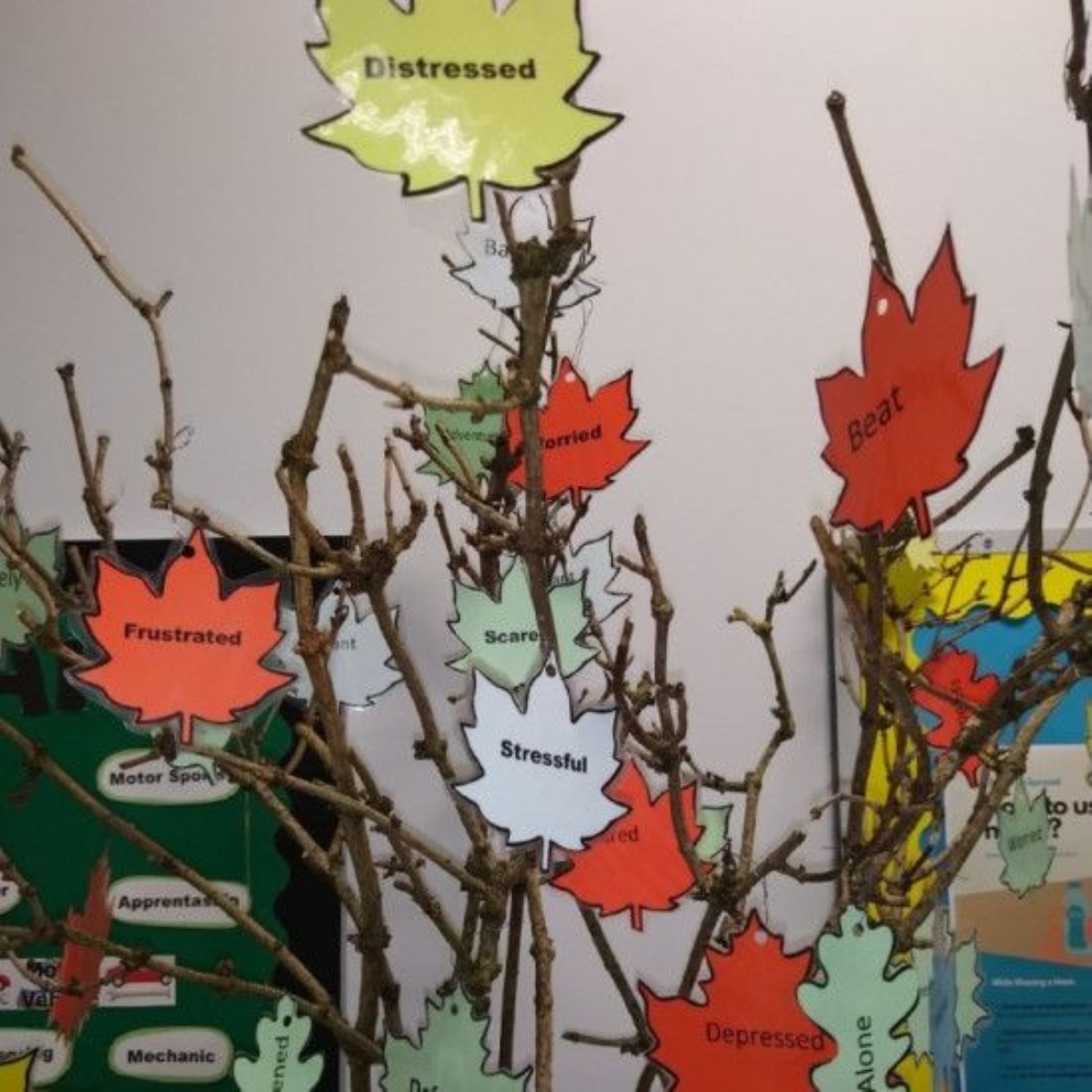 Trinity Solutions Academy - Understanding the roots of our emotions